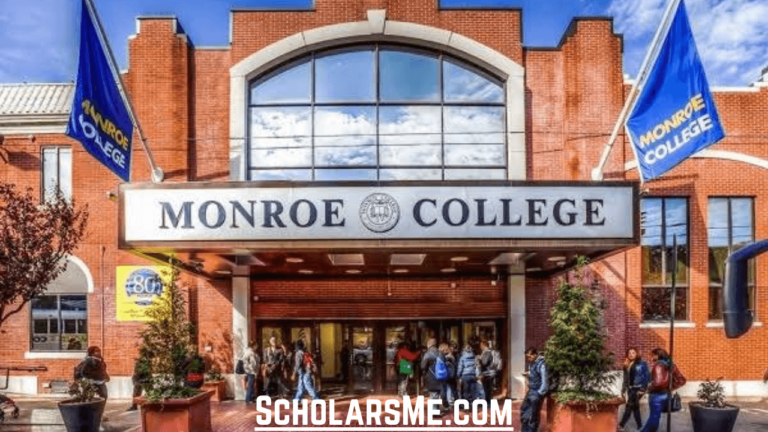 Monroe College | Degrees and Programs