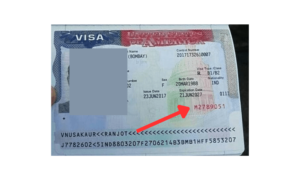Where is the USA Visa Number on US Visa?